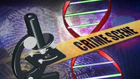 Docs: DNA key in 2011 stabbing case
