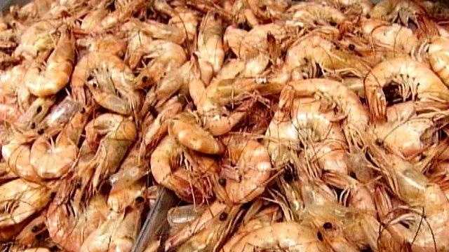La. announces end of shrimp season in some areas