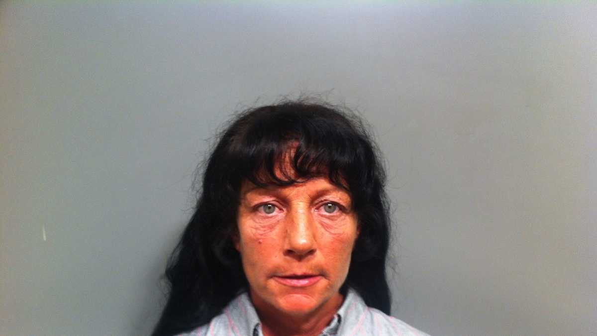 Police: Woman falsely claimed to be firefighter for over a decade