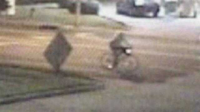 Images: Mickey Shunick investigation timeline
