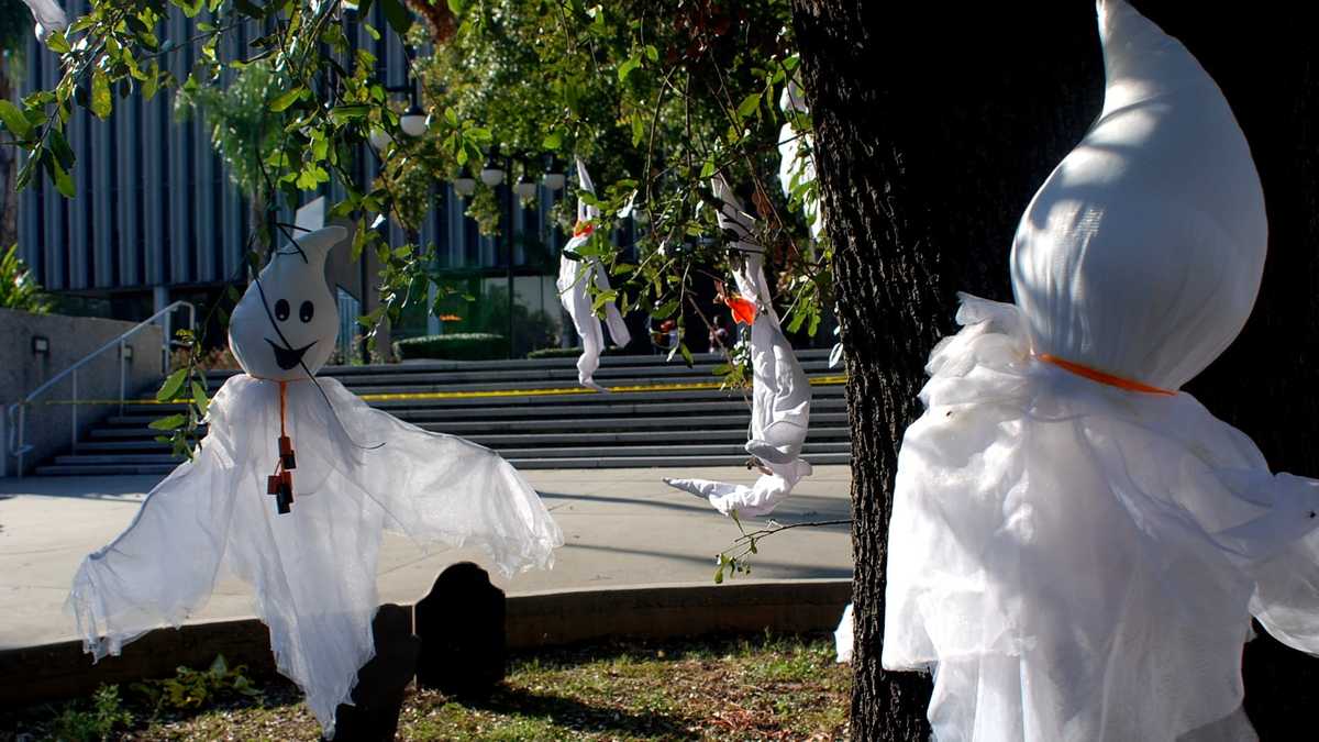 Images: NOPD scares up fun for Halloween night at HQ