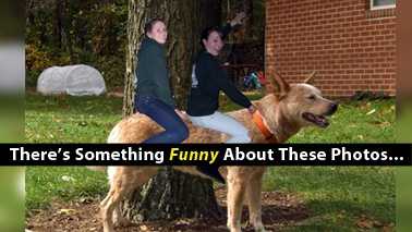 Images: Real? Fake? Check out these April Fools "faux-tos" from u local