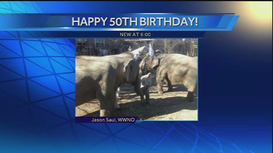 Audubon Zoo's Asian Elephant Panya gets happy 50th birthday Thursday