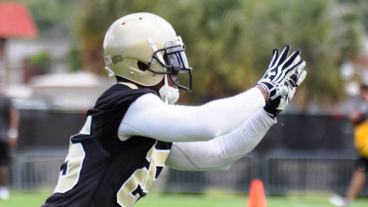 Report: Saints safety Rafael Bush has torn pectoral muscle injury