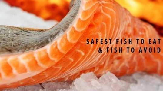 Safest fish to eat, fish to avoid