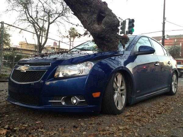 Slideshow: Tree into car