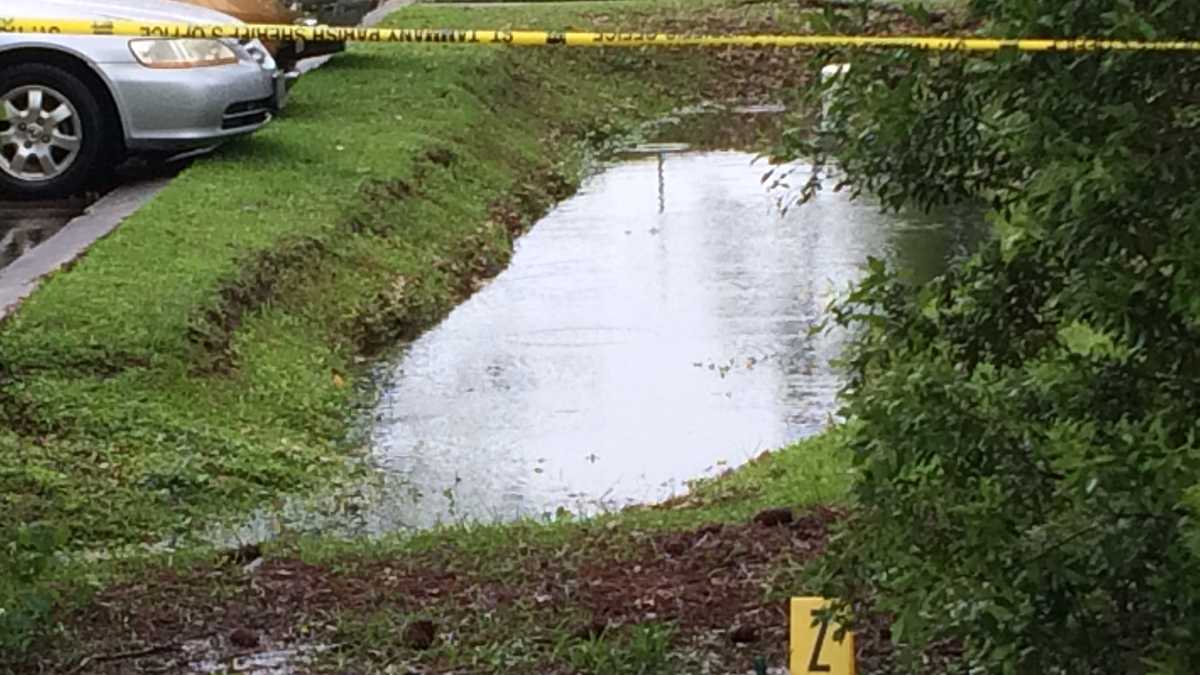Images: Authorities investigate shooting near Lakeview Regional Medical ...
