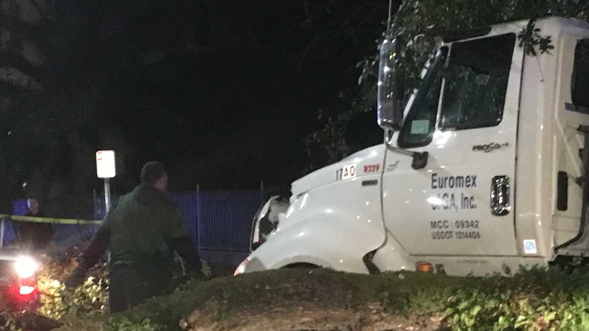 Images: Tractor-trailer crashes into tree along parade route