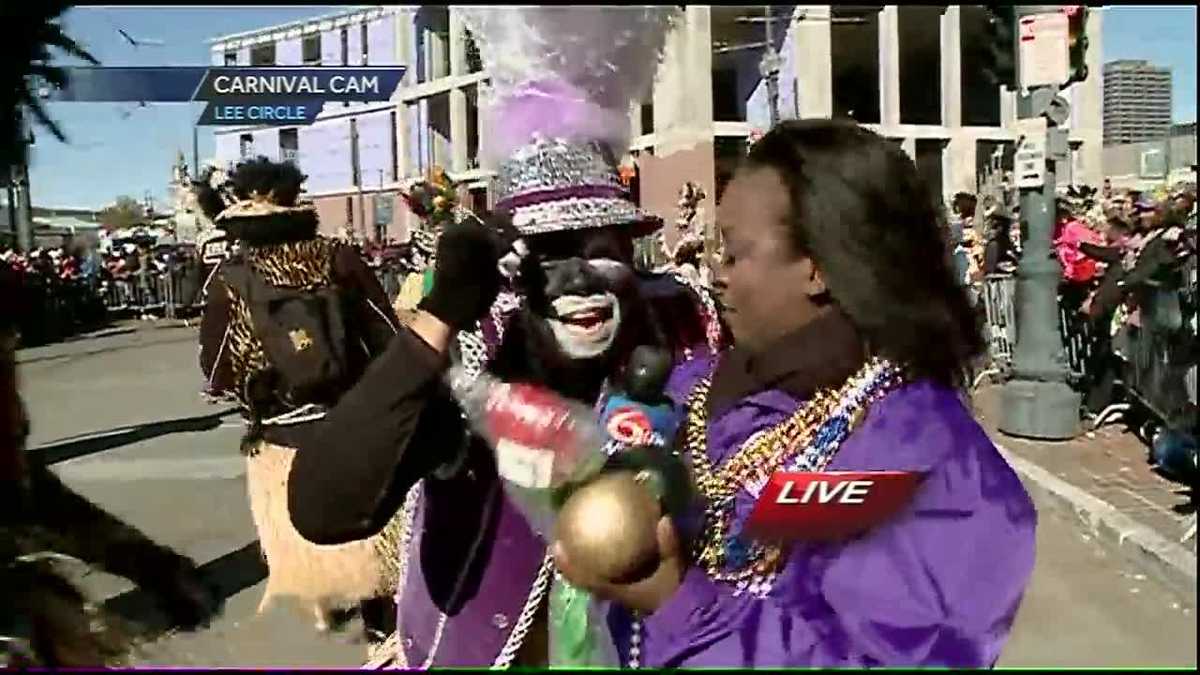 Photos: Gina Swanson at Lee Circle for Mardi Gras 2016