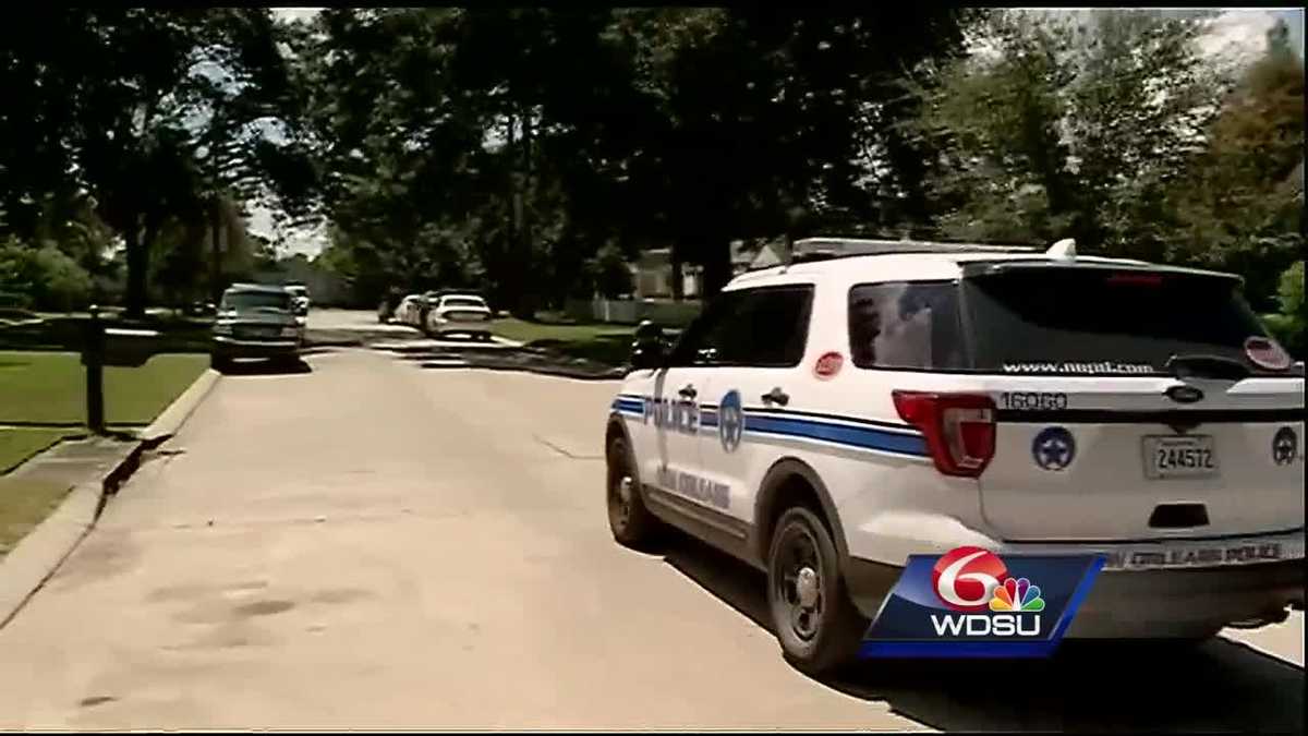 Some in Lakeview push for crime cameras over additional patrols