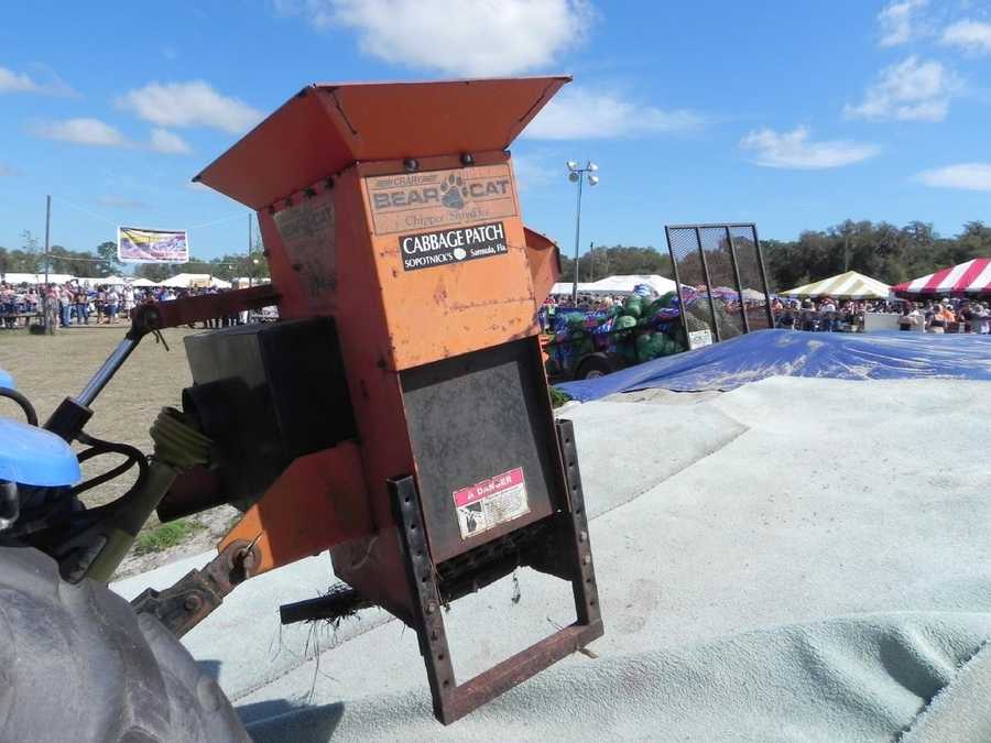 Images: Women Wrestlers Tumble In Coleslaw Pit