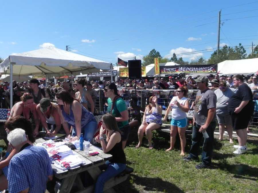 Images: Women Wrestlers Tumble In Coleslaw Pit