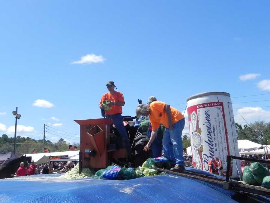 Images: Women Wrestlers Tumble In Coleslaw Pit