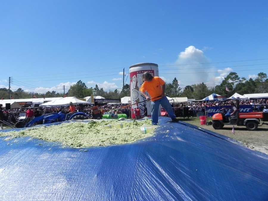 Images: Women Wrestlers Tumble In Coleslaw Pit