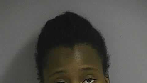 Florida Mug Shots: June 1