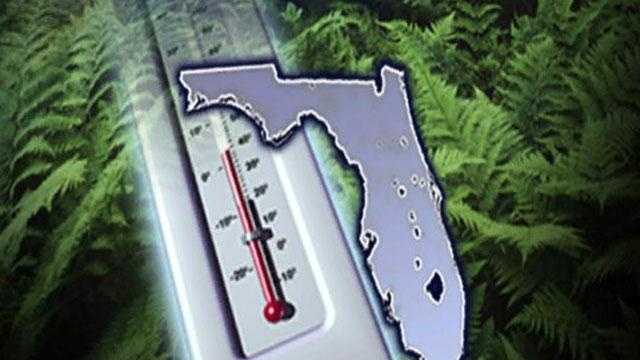 Northeast storm brings cold weather to Central Fla.
