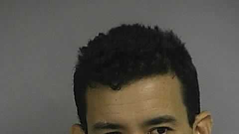 Florida Mug Shots: Week in review