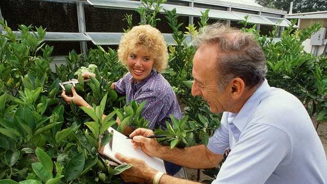 UPDATED list: 50 highest-paying jobs in Florida