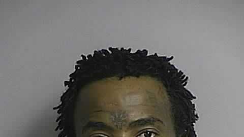 Florida Mug Shots: Week in review