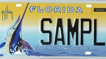 Images: Florida's specialty license plates