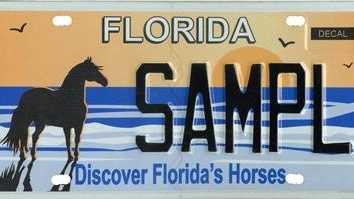 Images: Florida's specialty license plates