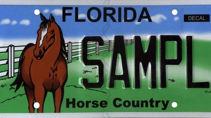 Images: Florida's specialty license plates