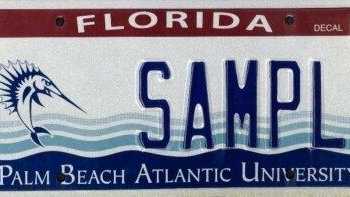 Images: Florida's specialty license plates