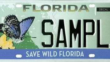 Images: Florida's specialty license plates