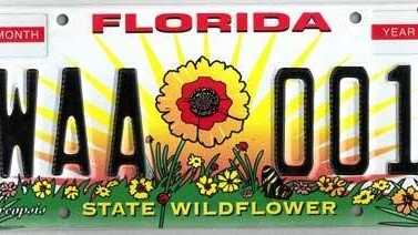 Images: Florida's specialty license plates