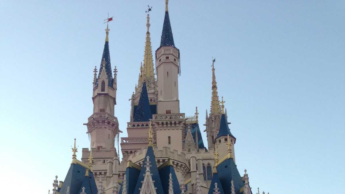 Photos: Meteorologist Eric Burris runs Disney half marathon