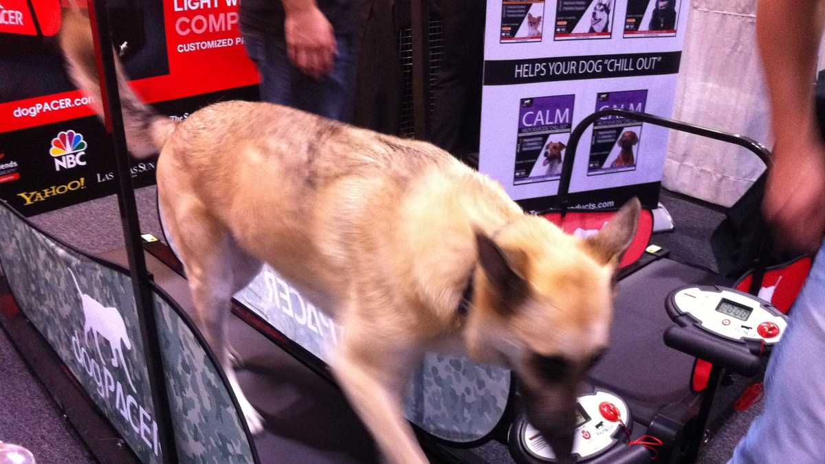 Images: Pet expo invades Orange County Convention Center