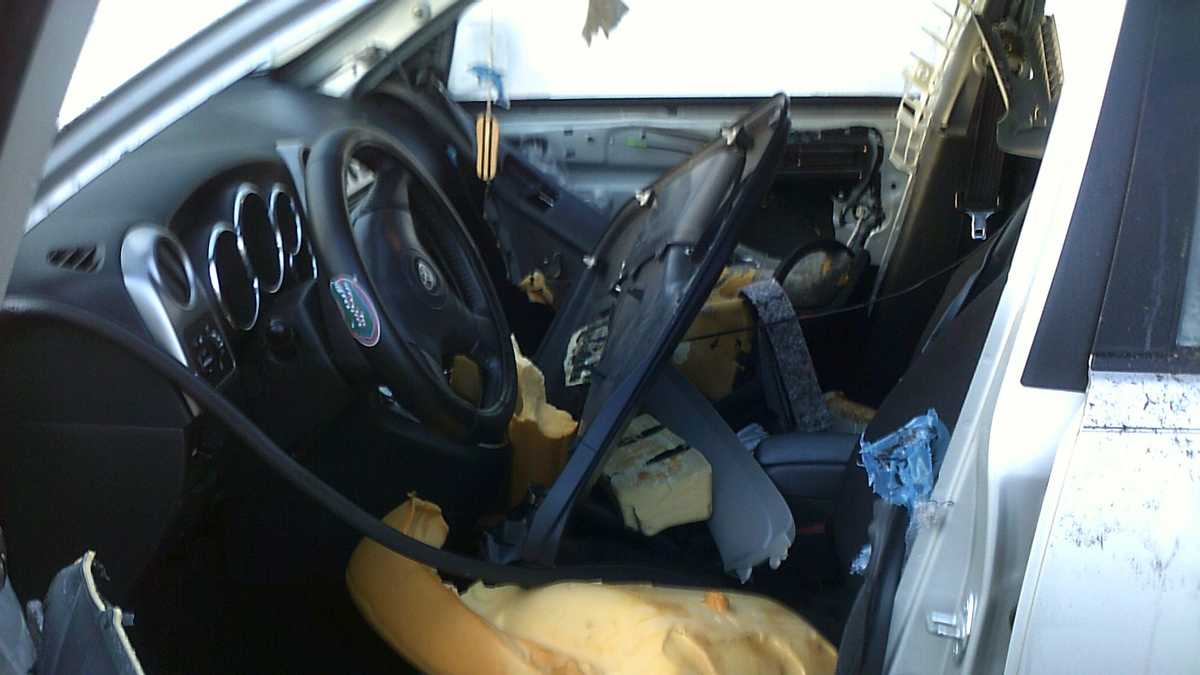 Bear trapped inside car tears up interior