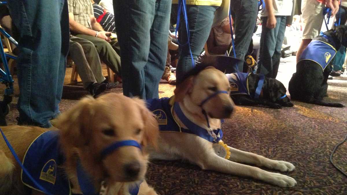 Photos: Canine Companions graduation