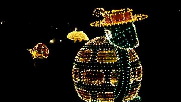 Images: History behind Disney's 'Main Street Electric Parade'