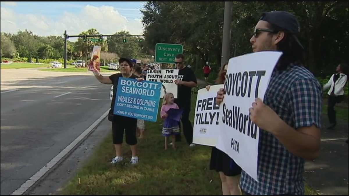 Animal rights activists protest outside SeaWorld