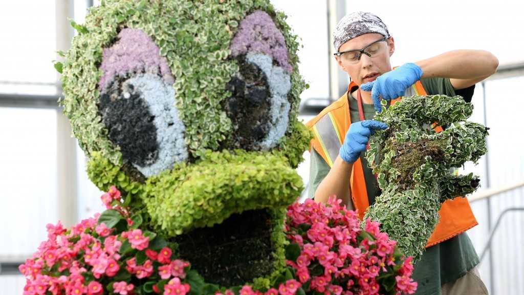 New characters to debut at Epcot garden festival