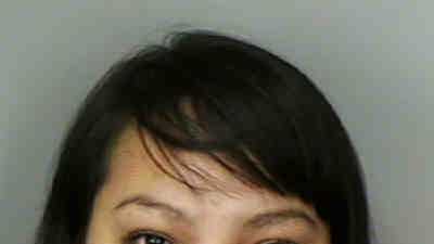 Mug shots: 13 arrested in Polk County meth investigation