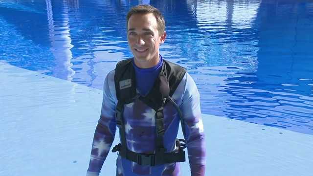 SeaWorld trainers now wearing safety vests