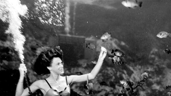 Photos: Weeki Wachee, through the years