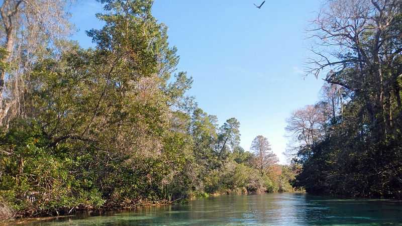 Photos: Weeki Wachee, through the years