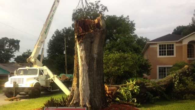 Images: Damage from storms across Central Florida