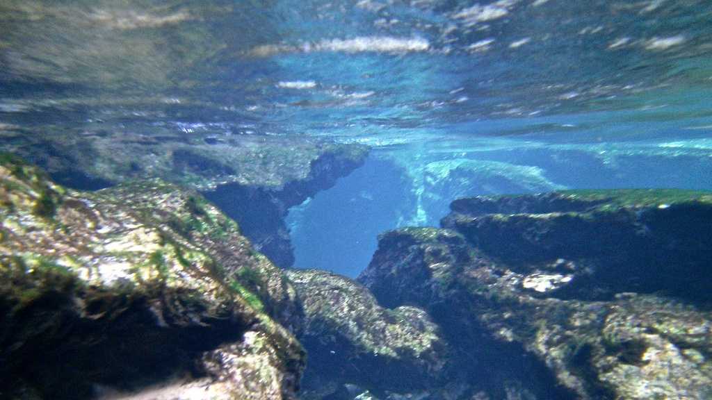 20 quick outdoor day trips around Central Florida