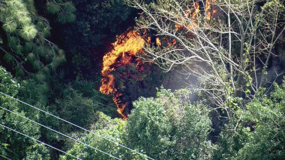 Homes evacuated near fast-moving brush fire in Orange County