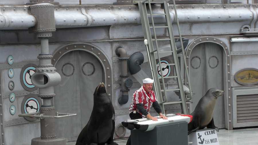 New Clyde And Seamore Show To Debut At Seaworld