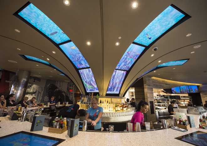 CowFish officially opens at Universal Orlando CityWalk