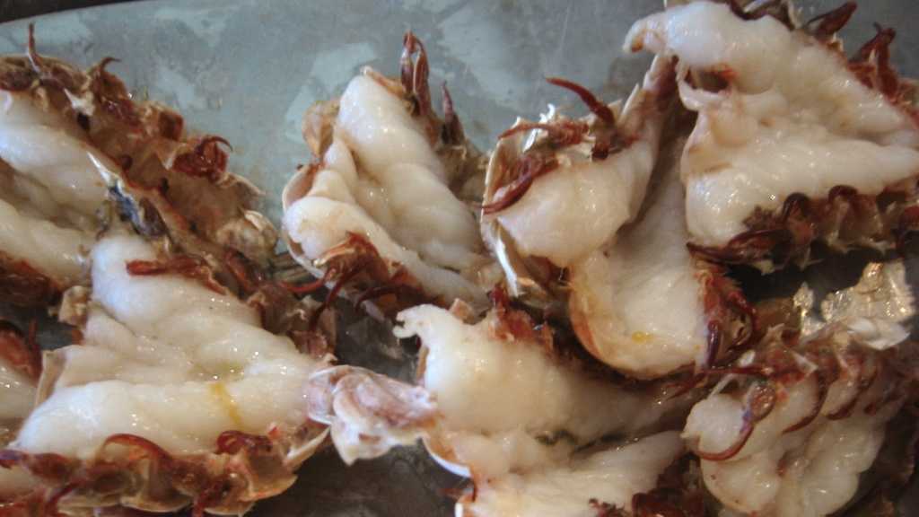 Florida's 9 iconic foods and drinks (and where to get them in Central ...