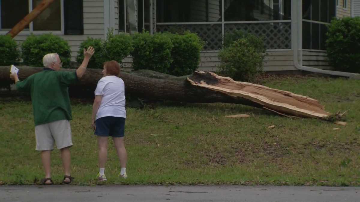 Storms send trees crashing into Central Florida homes