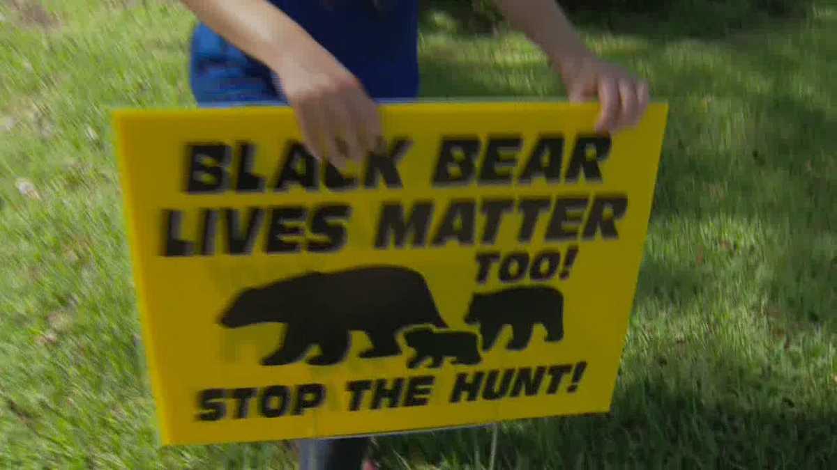 'Black Bear Lives Matter' signs stir controversy