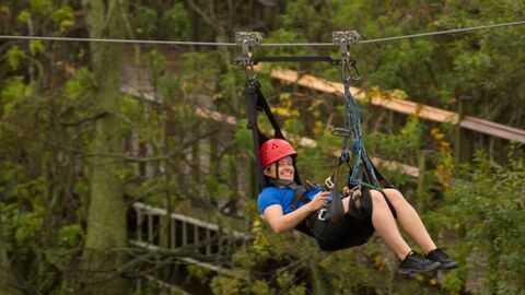 Ride Gator Gauntlet, the wheelchair-accessible zip line
