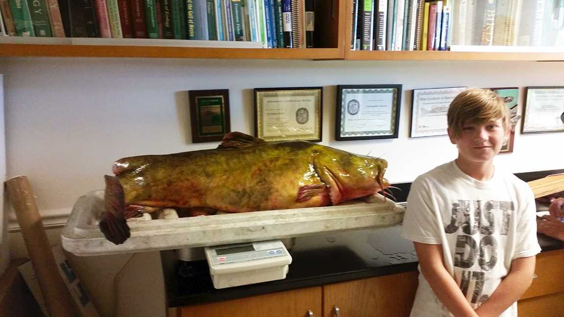 Teen angler catches state record catfish
